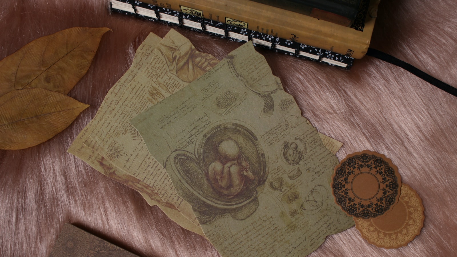 A Beginner’s Guide to Choosing the Right Personal Loan for Your Needs ...